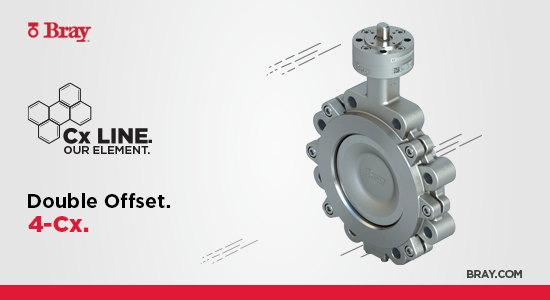 4-Cx Double Offset Butterfly Valve Closer Look | Bray