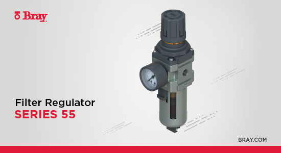 Filter Regulators: Series 55 | Bray