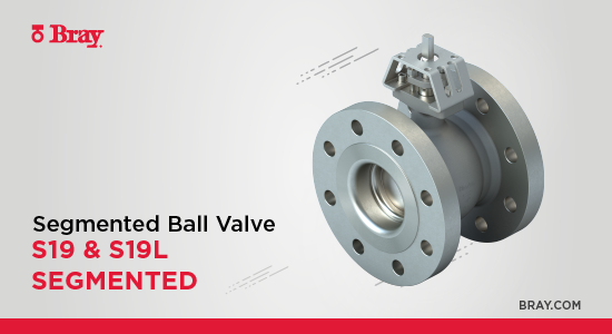 Válvula de Control: Válvula de Bola Segmentada S19 - Vista Detallada | Bray