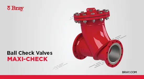 Válvulas de Retención Tipo Bola MAXI-Check | Bray