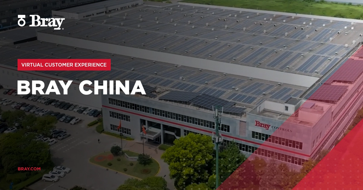 Bray India Corporate | Bray