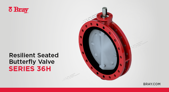 Butterfly Valve: Resilient Seated Series 36H | Bray
