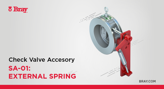 Check Valve Accessories: SA-01 External Spring | Bray