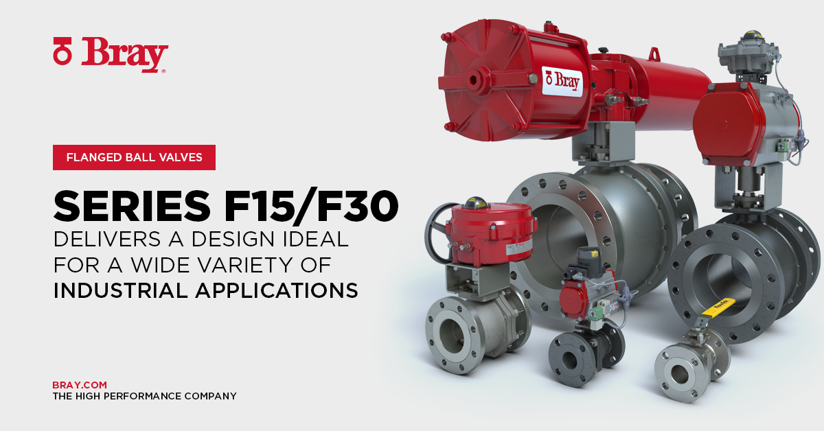 Ball Valve: Flanged Flow-Tek F15/F30 - Closer Look | Bray
