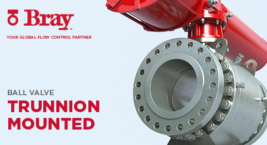 Trunnion Mounted Ball Valves | Bray